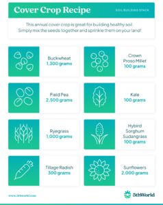 Annual Cover Crop Recipe | 5th World