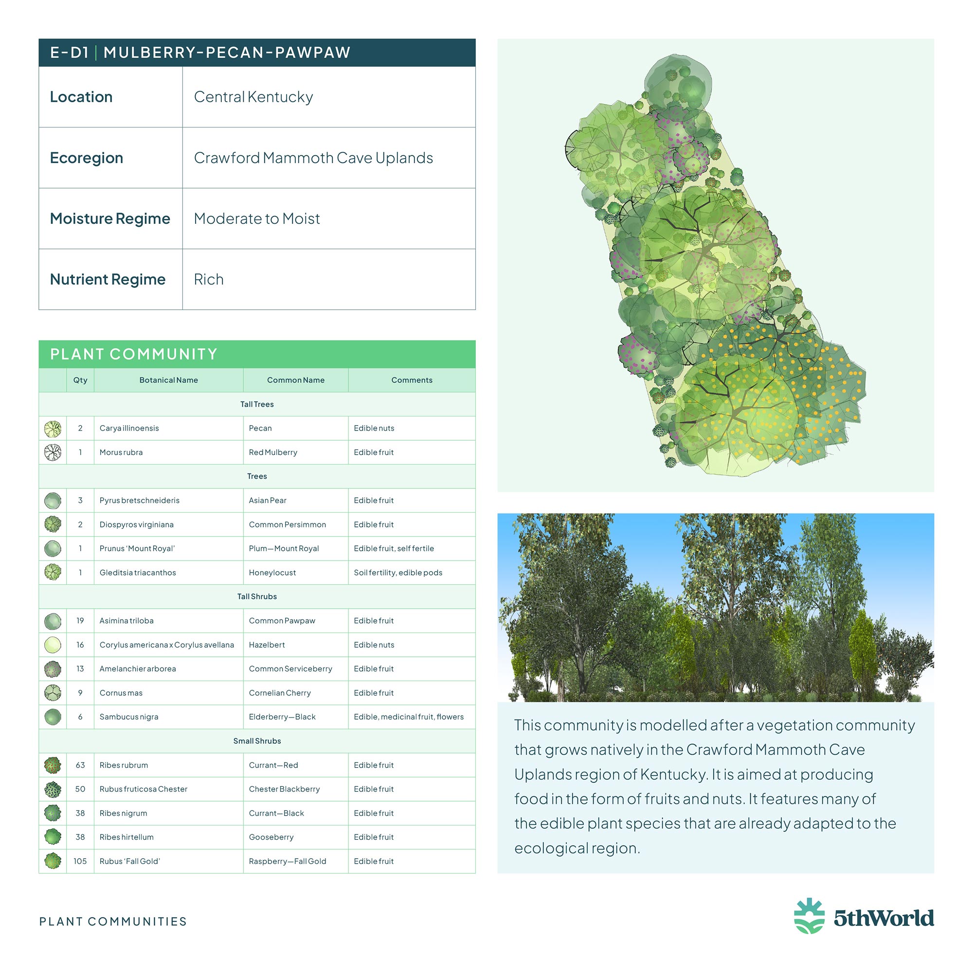 Plant Communities | 5th World