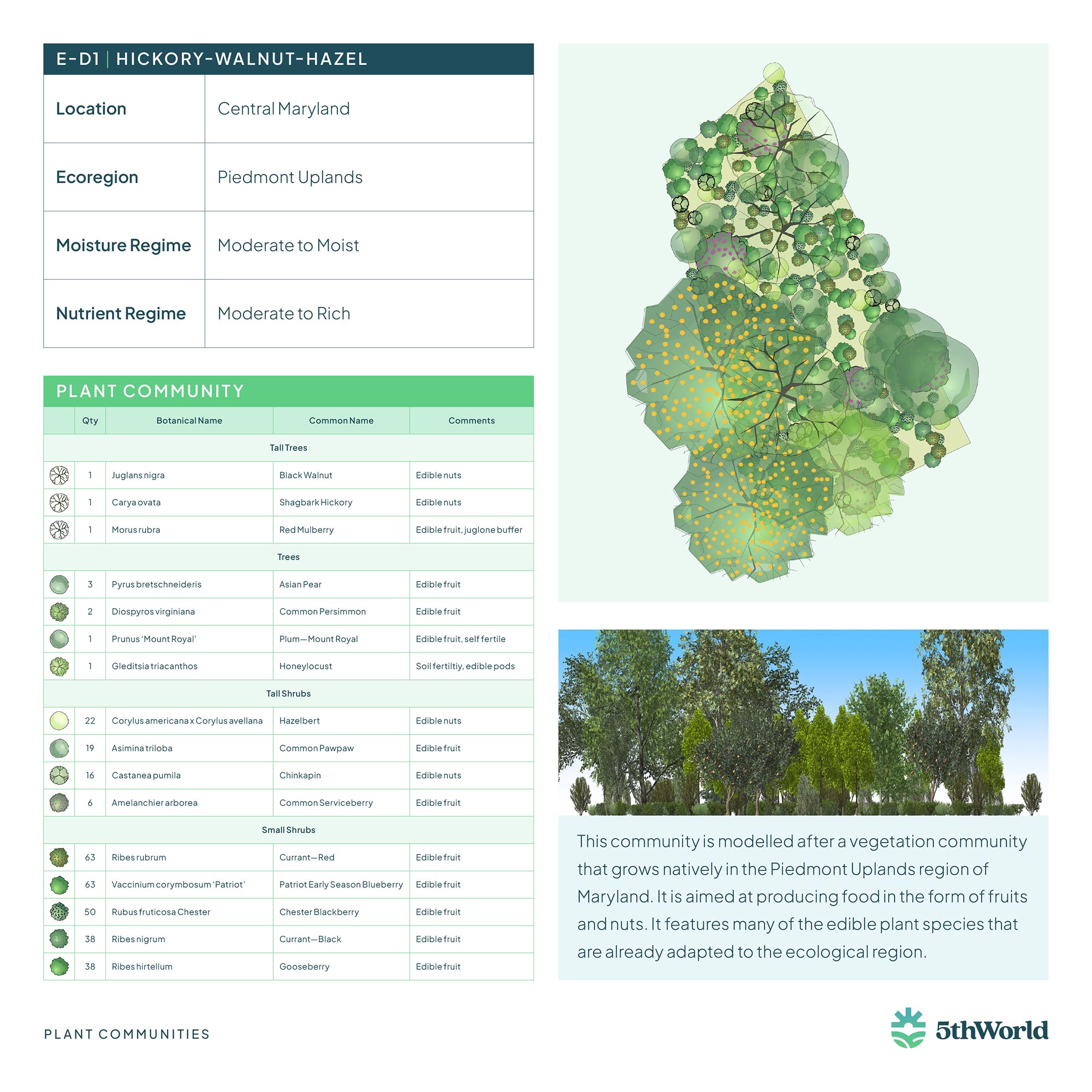 Plant Communities | 5th World