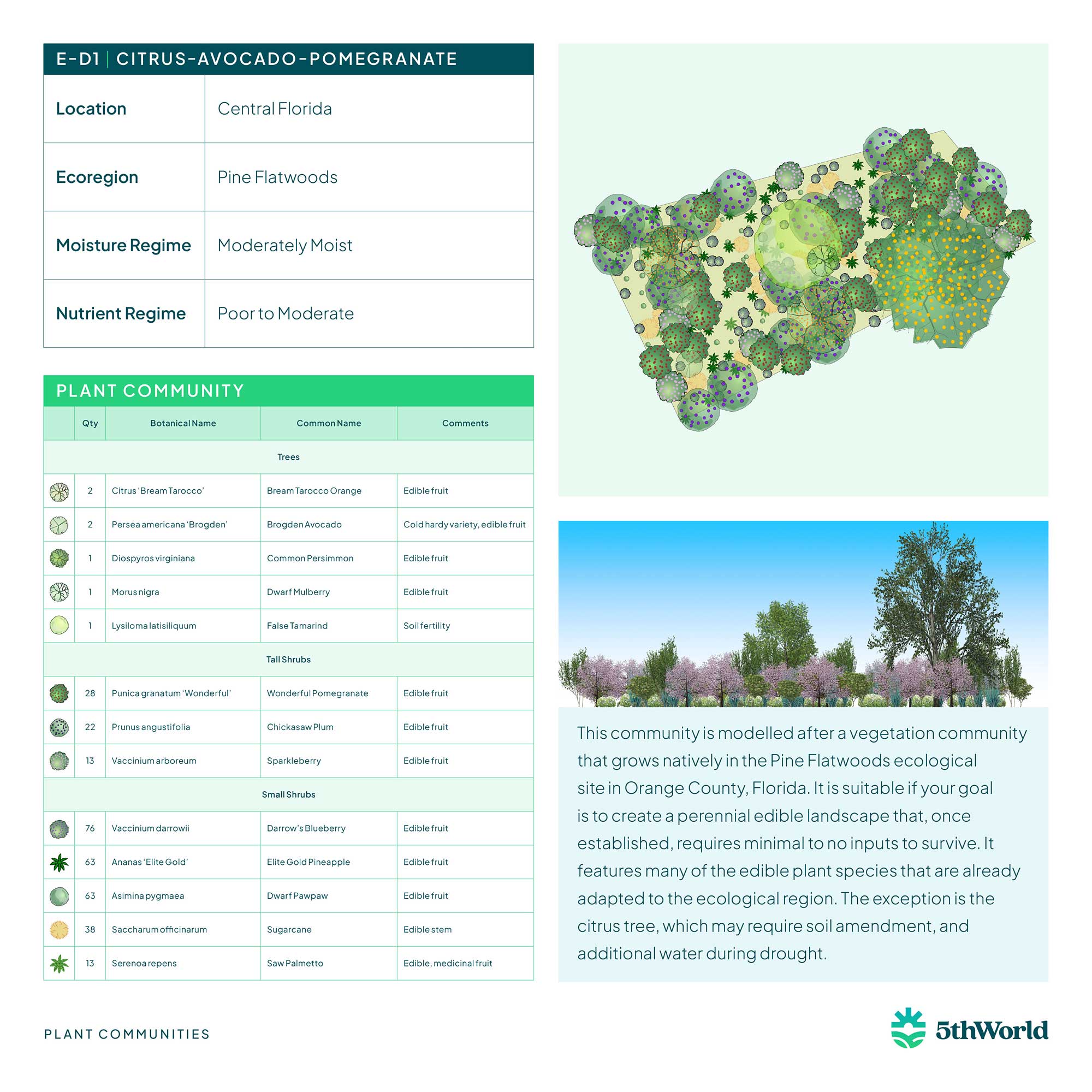 Plant Communities | 5th World